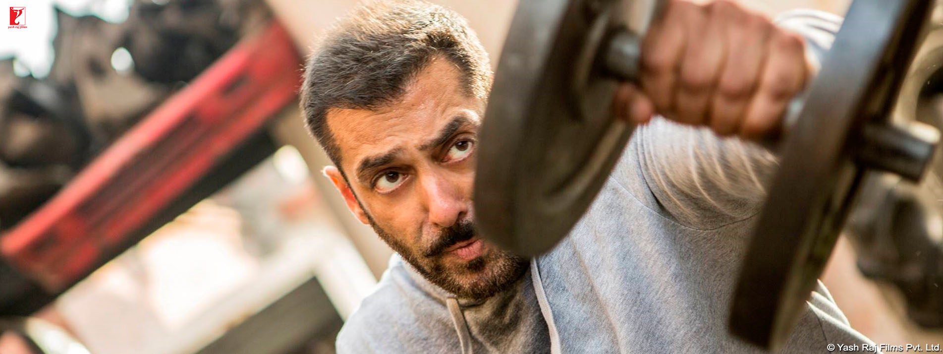 Sultan Movie - Sultan Movie Video Songs, Movie Trailer, Cast & Crew ...